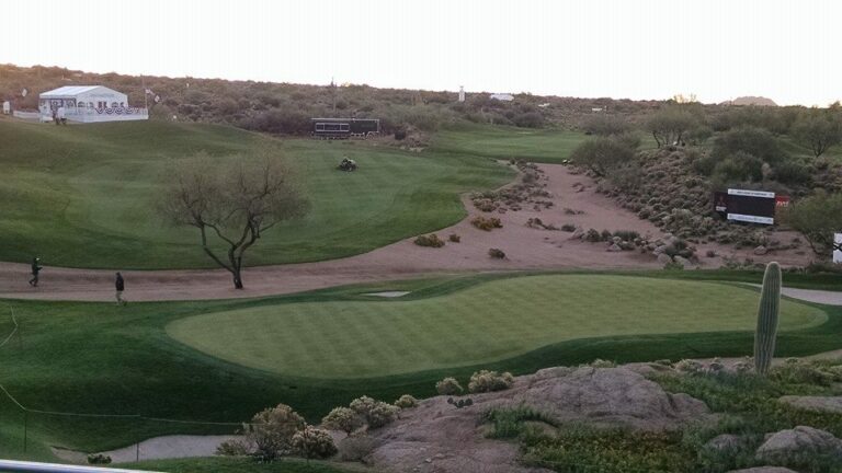 Overseeded turf with Endurant TE pops with color - Geoponics Corporation