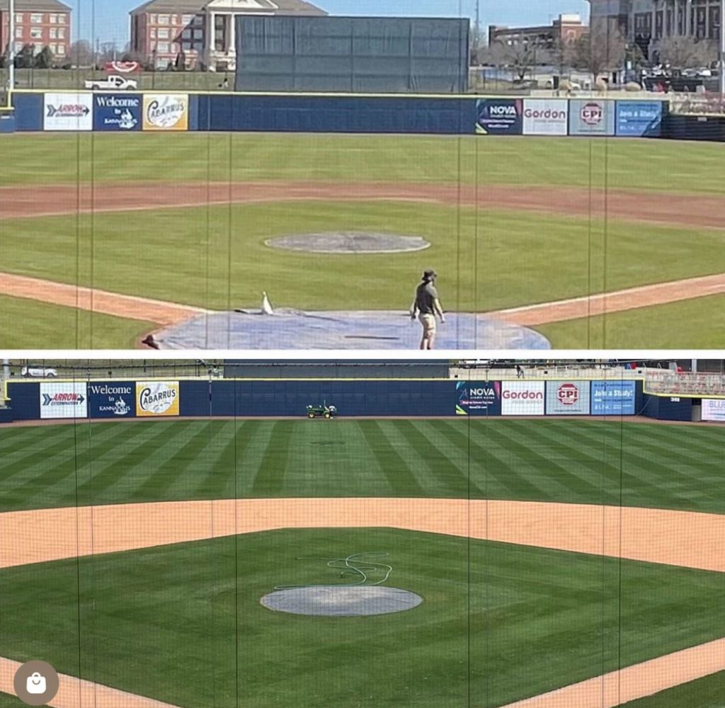 How to Turn Yellow Grass Into Green Grass – Instantly & Safely ...