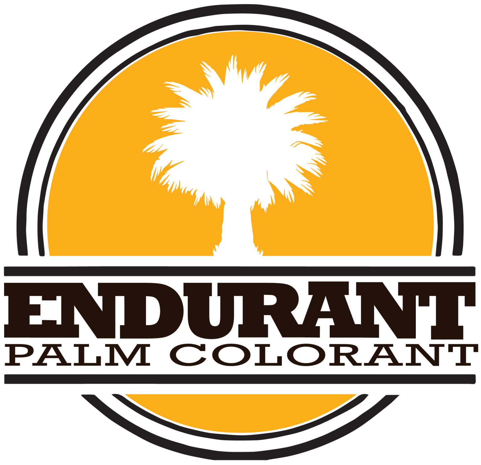 Should You Stain Palm Tree Trunks? Everything You Need to Know ...